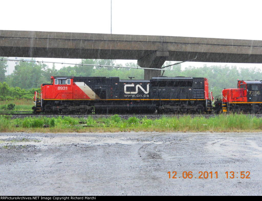 CN 8931